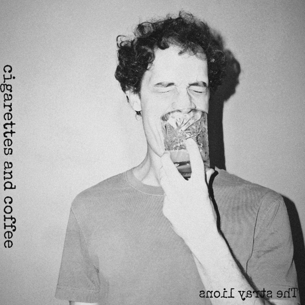 THE STRAY LIONS BOTTLE THE MOMENT – introvert disco