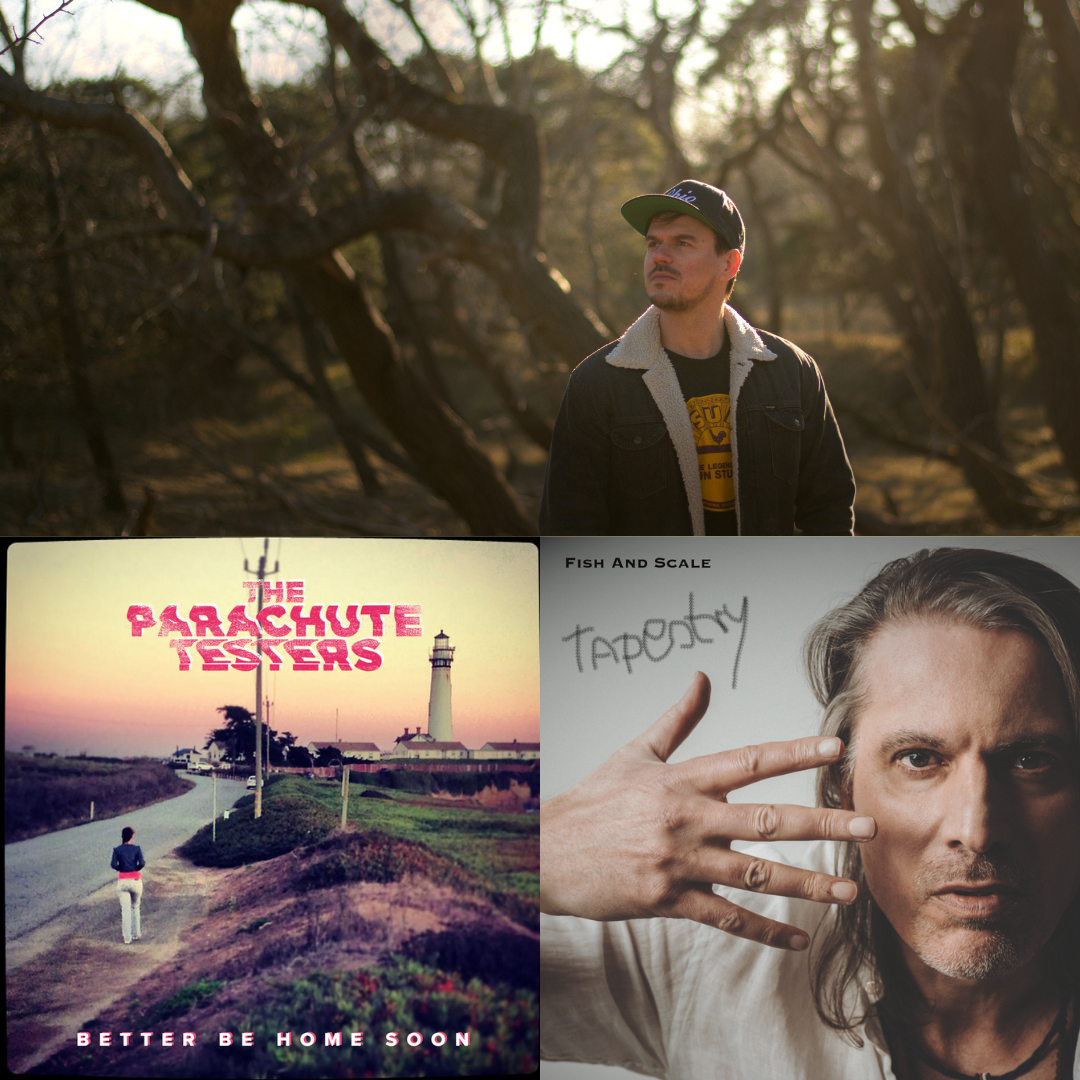 TODAY’S INDIE PICKS – introvert disco